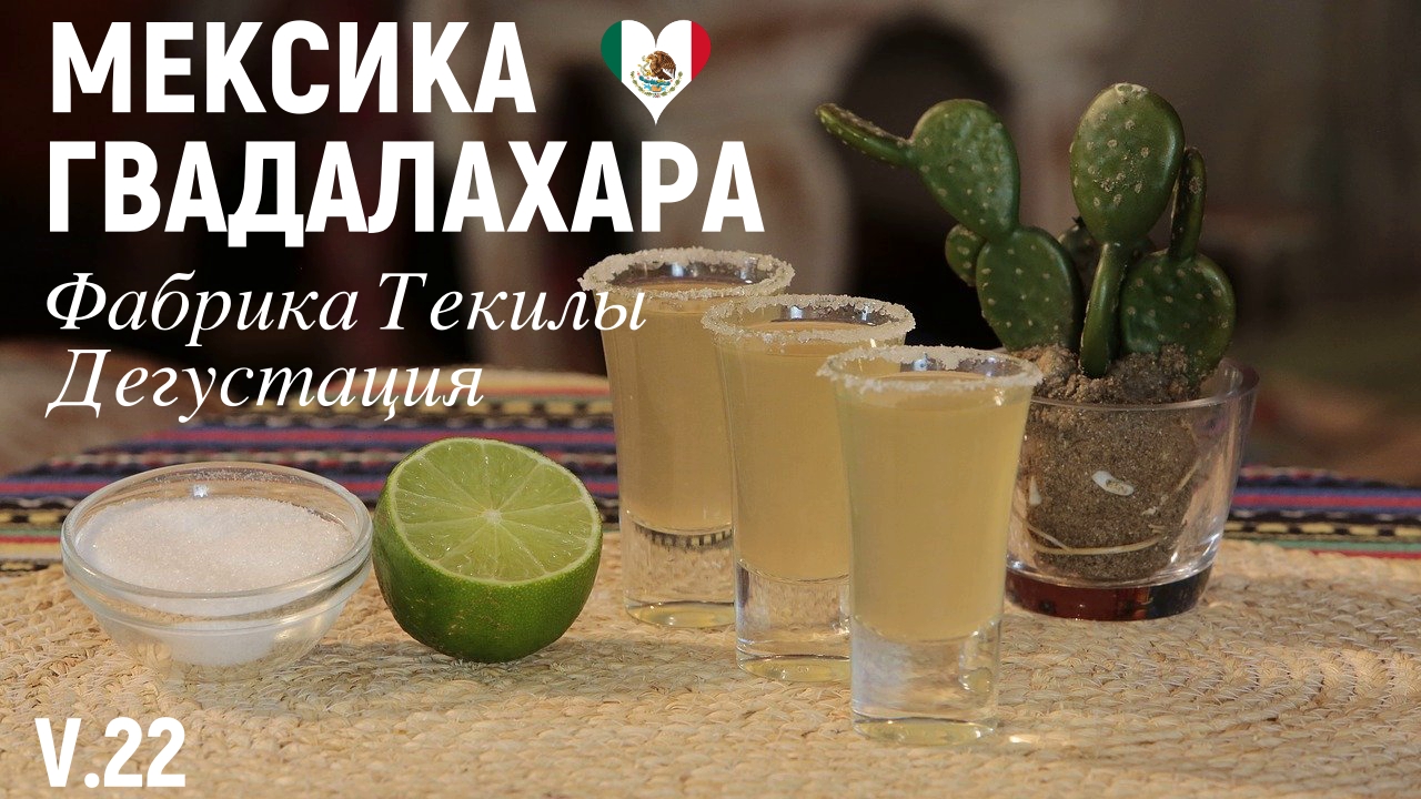 22. Мексика. Гвадалахара. Обзор города. Экскурсия на фабрику Текилы. Дегустация. Концерт Мариачи.