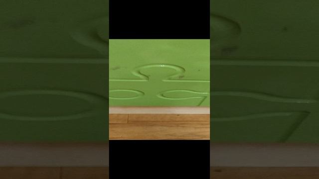 знакомство спайка и носка по имени боб 🫘