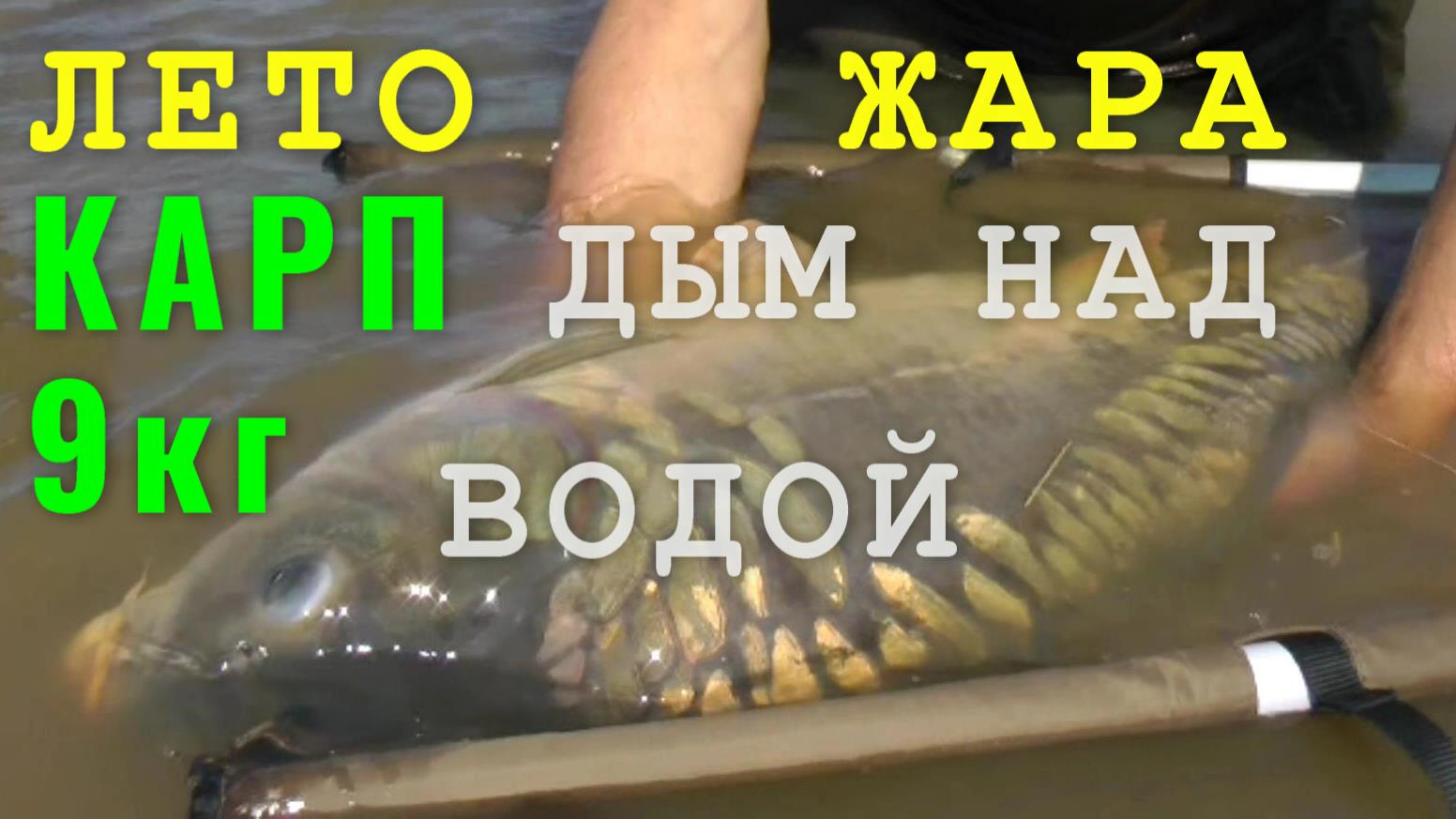 Ловля карпа в августе.