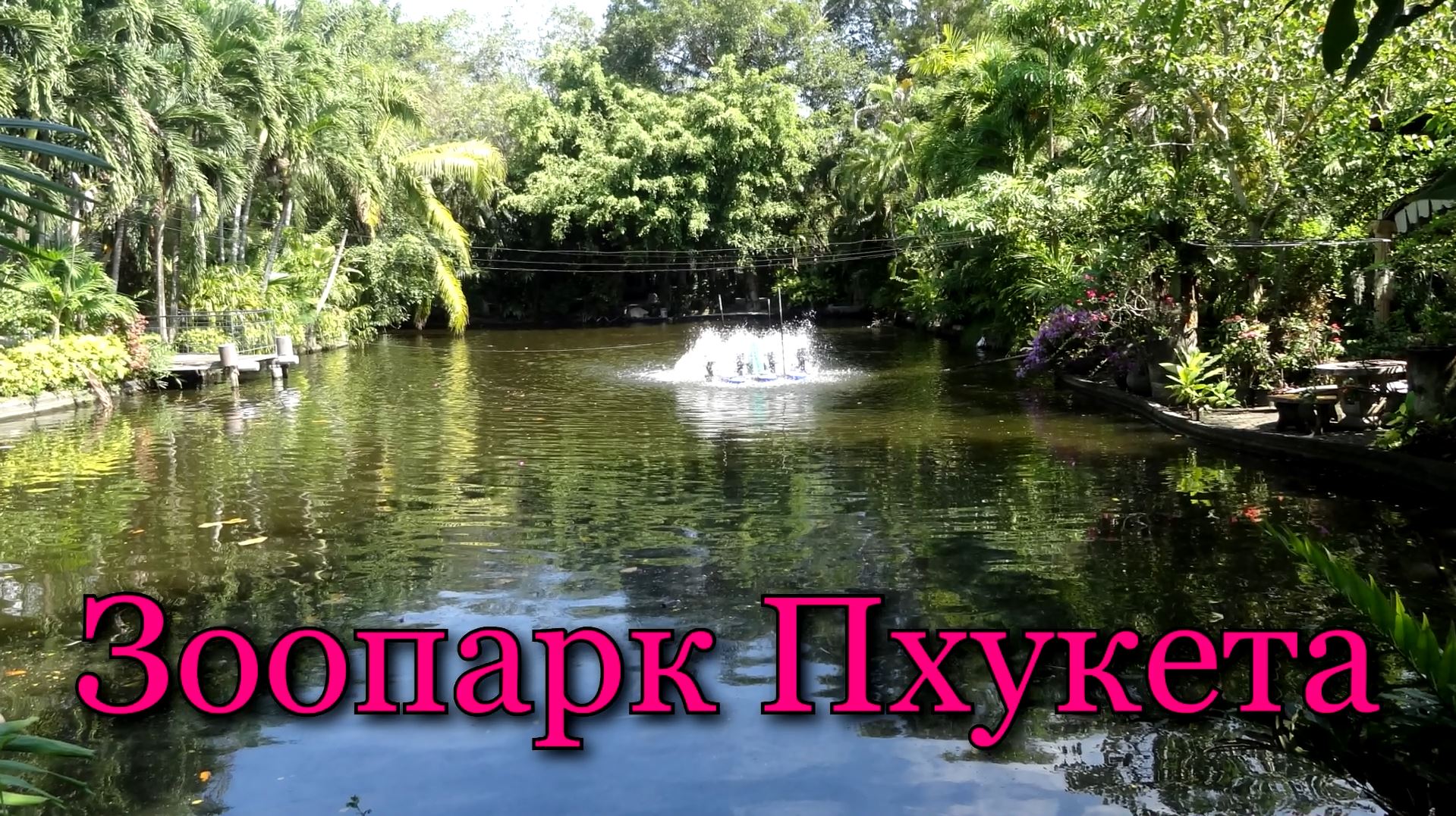 Зоопарк Пхукета. Часть 2.