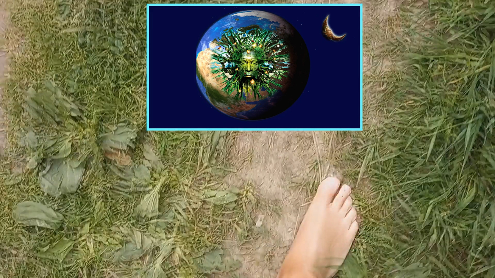 Тайны Вашего тела. Ваши ноги - земные корни и волшебные существа!