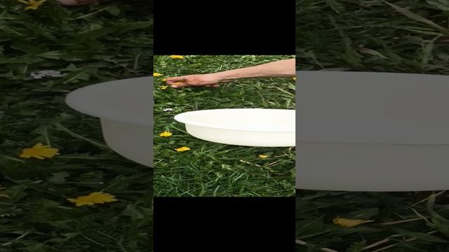 МЕД ЕСЛИ ЕСТЬ, ТО ЕГО СРАЗУ НЕТ ?VID_20230604_133914.mp4