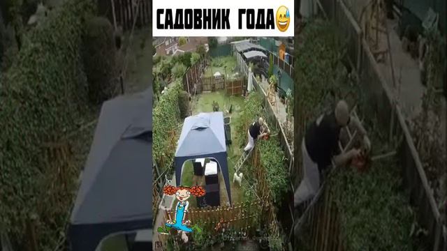 Поехали на дачу!