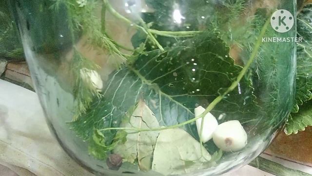 Заготовки на зиму: солим огурцы в банках