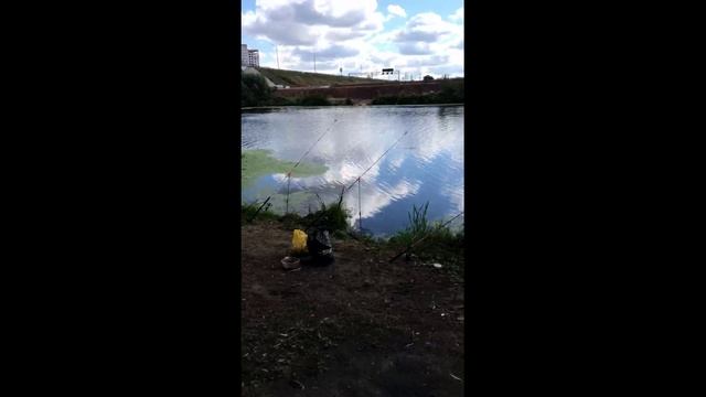 Разведка на Пахру. Рыбалка на реке Пахра. Московская область.