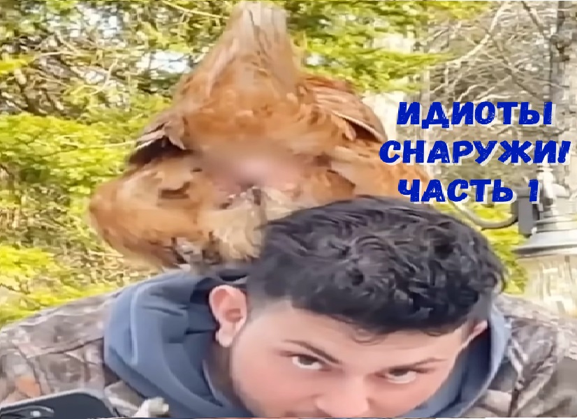 ИДИОТЫ Снаружи! Неудачи недели. Часть 1