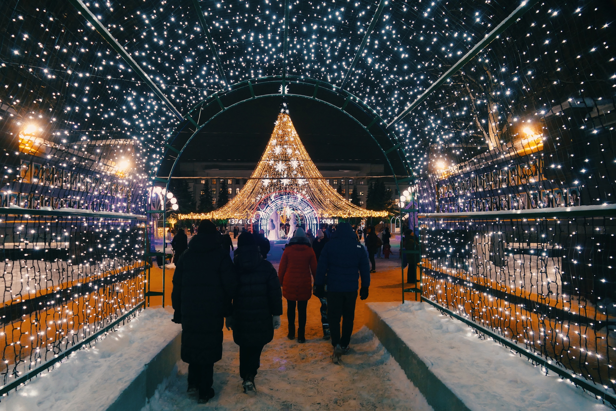 Поздравление с Новым Годом 2024 от сотрудников Вятского палеонтологического музея