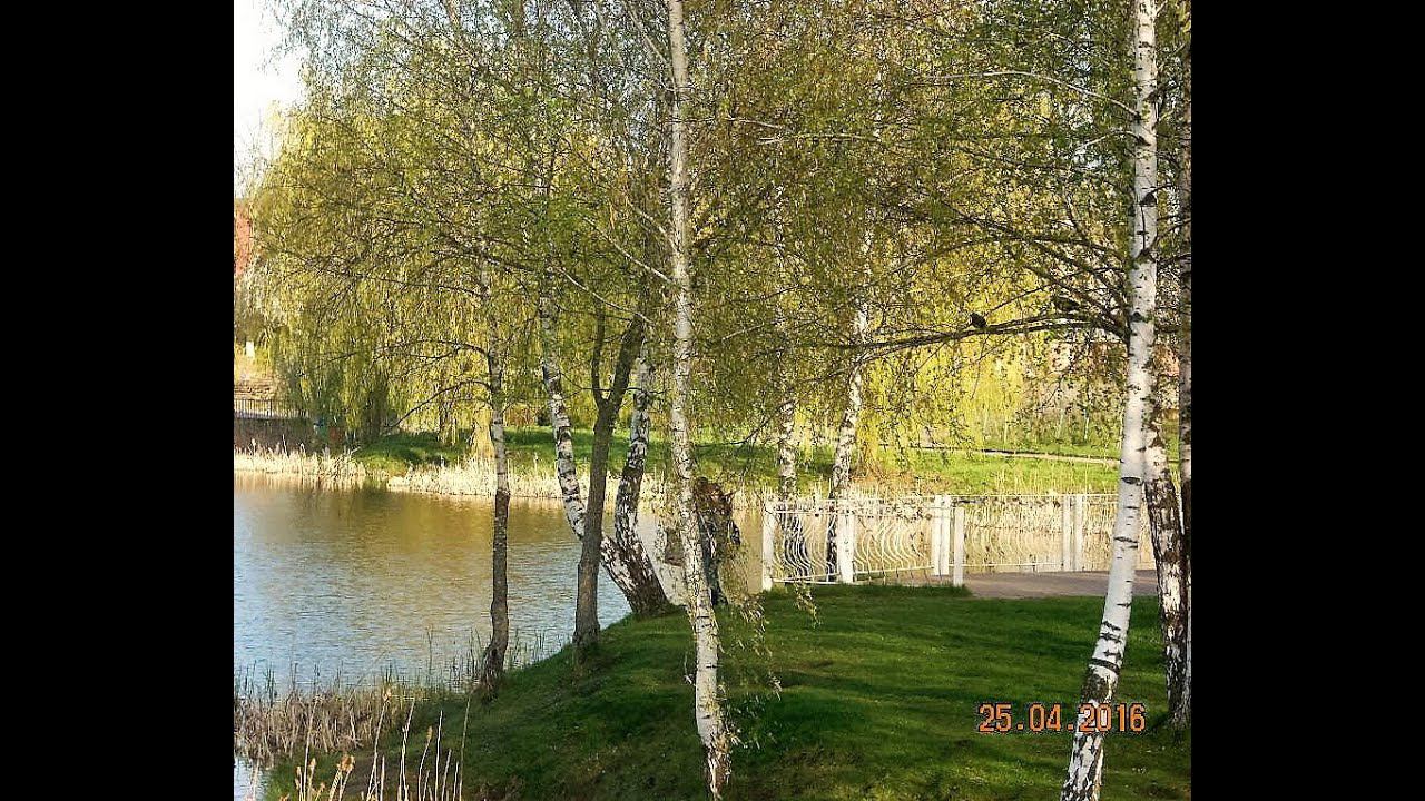 Сергей Есенин, романс "Не жалею, не зову, не плачу"(исполнение моё)