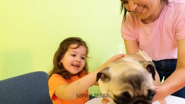 БЕСЦЕННЫЕ ЛАЙФХАКИ И ГАДЖЕТЫ ДЛЯ ВЛАДЕЛЬЦЕВ СОБАК.mp4