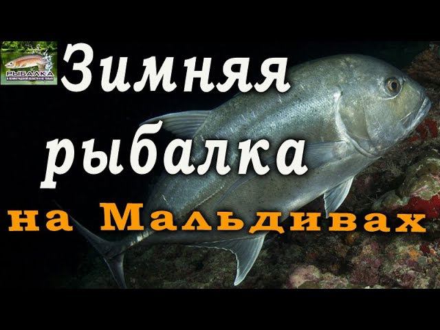 Зимняя рыбалка на Мальдивах 2020 г. Рыбалка в Индийском океане.