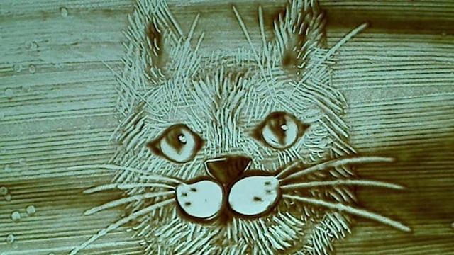 Весёлые истории от Юрия Макарова