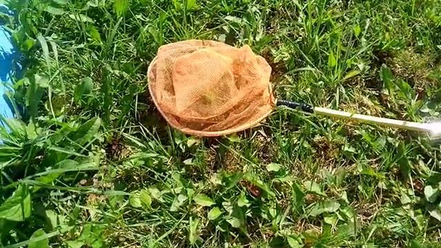 Уход за бассейном