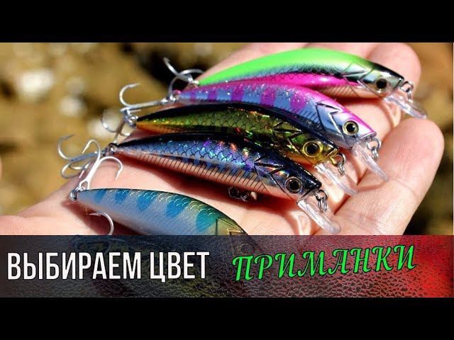 Какой цвет приманки выбрать ?
