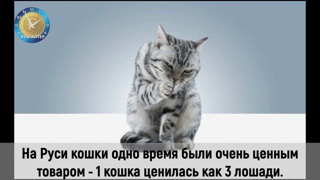 Верю_НЕ_Верю_01.mp4