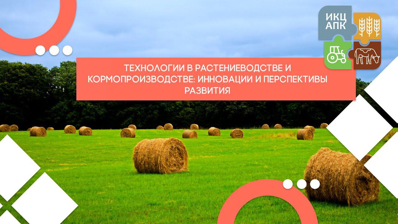 Запись семинара от 1 ноября 2022 года Часть 2