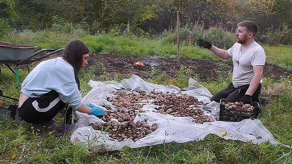 🏡 ДОМ В ДЕРЕВНЕ: БОЛЬШОЙ ОБЗОР УЧАСТКА СПУСТЯ ЛЕТО | Holzfforma