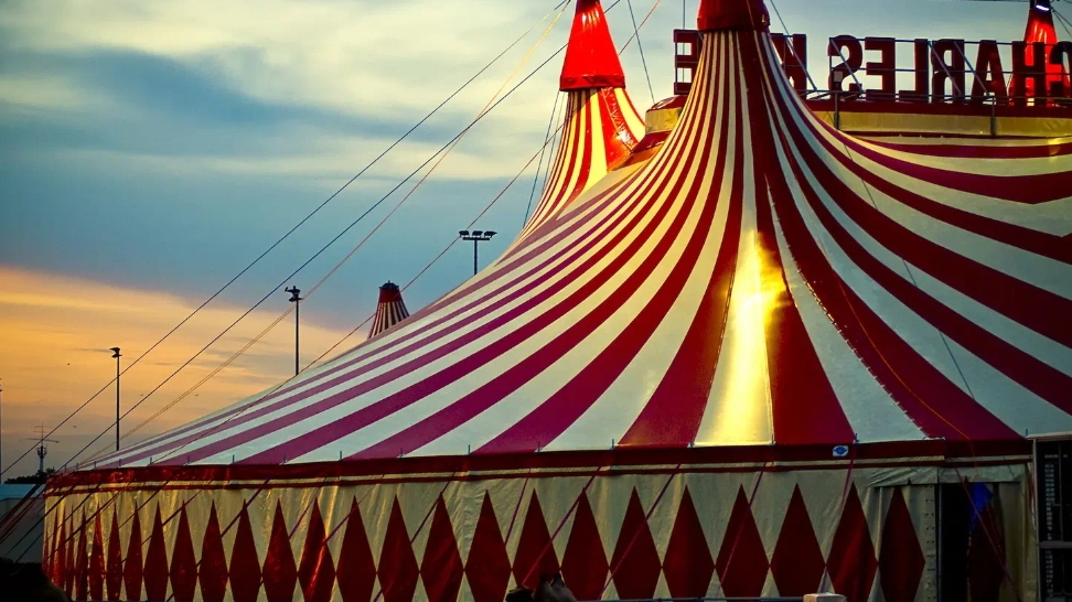 Мы съездили в 🎪🎪🎪 Шапито