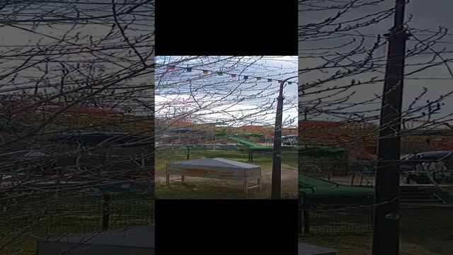 ПАРК БАБУШКИНА КОЛЕСО ОБОЗРЕНИЯ ЭТО ПИТЕР ДЕТКА ТИПИЧНЫЙ ВЕСНА ПРИРОДА