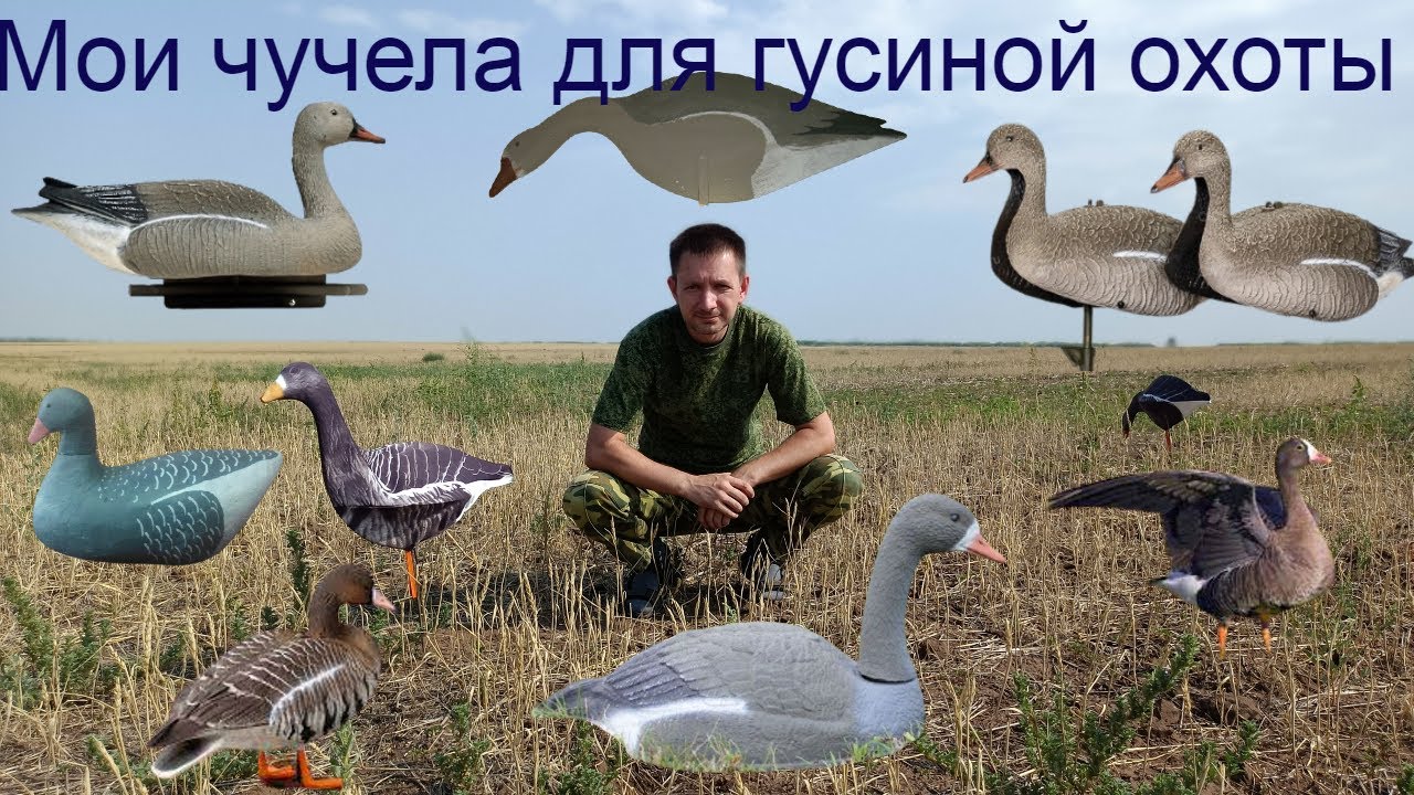 Лучшие гусинные чучела. Складные чучела гусей. Компактность и удобство