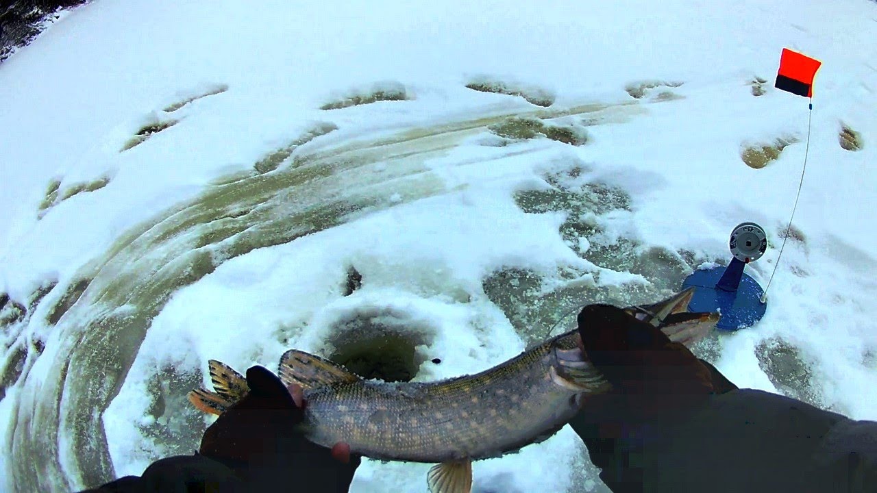 ЗИМНЯЯ РЫБАЛКА ? НА ЖЕРЛИЦЫ. ОТКРЫЛ СЕЗОН 2022 ПО ЖЕРЛИЦАМ ?(ПЕРВЫЙ ЛЕД).ЩУКА НА ЖЕРЛИЦЫ .