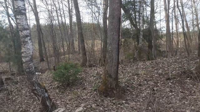 Попытался подкрасться к утке....