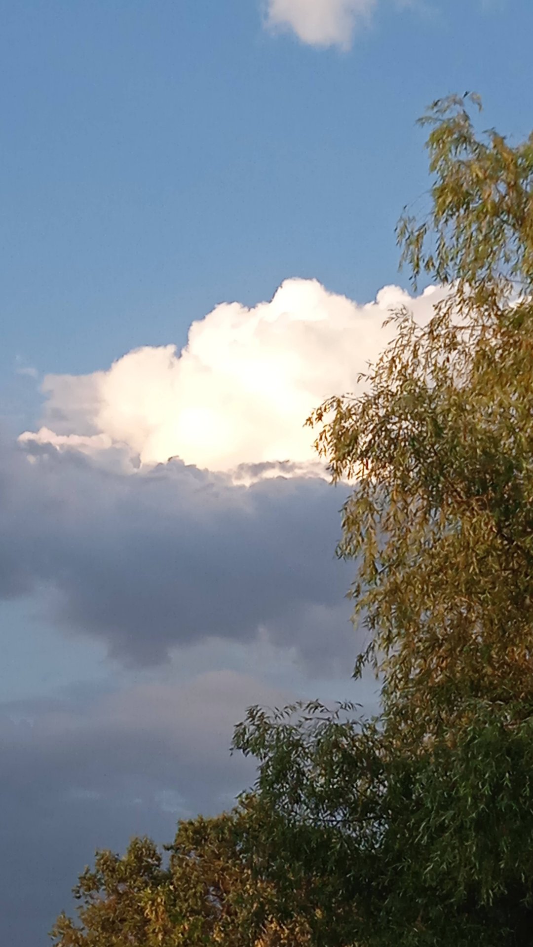 Успокаивающая музыка для расслабления