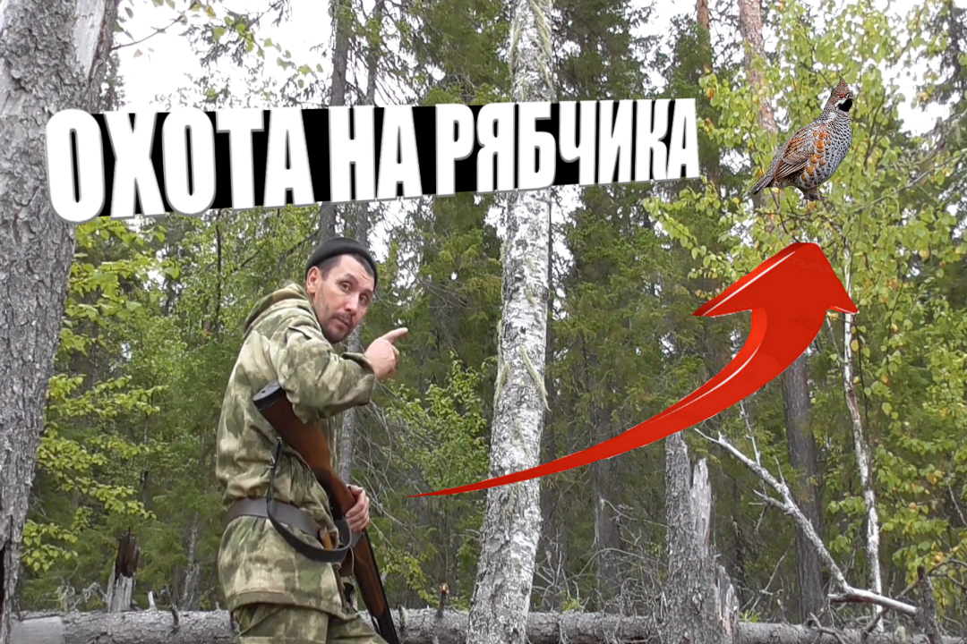 ОХОТА НА РЯБЧИКА С МАНКОМ. Долго выманивал на выстрел.