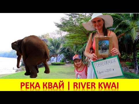 РЕКА КВАЙ / КАКАШКИ В ПОДАРОК! ТАЙЛАНД. ЭКСКУРСИЯ ИЗ ПАТТАЙЯ на 2 дня
