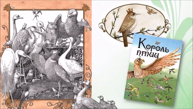 Ирландия. "Король птиц". Библиотека №14