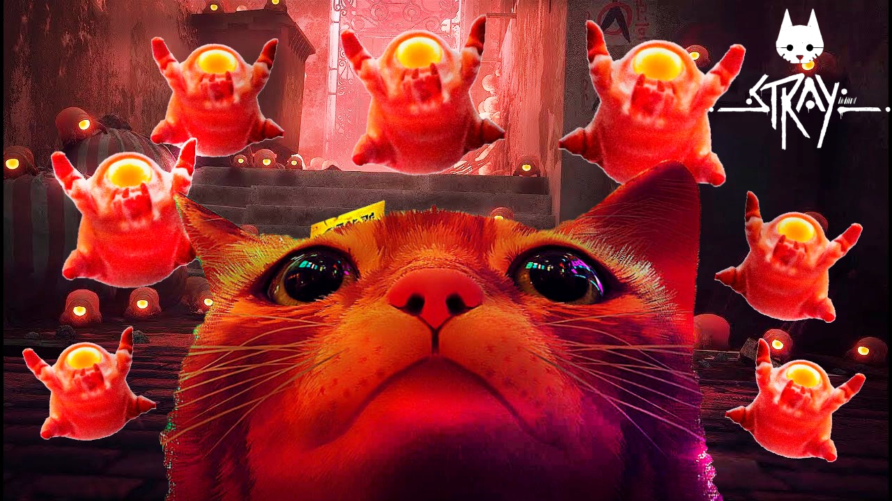 БЕШЕНЫЕ СВИНЬИ! ➥ Stray #3