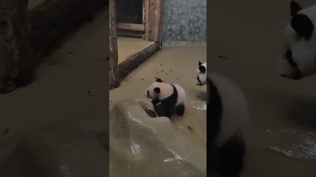 Всем на субботник) 👩🌾