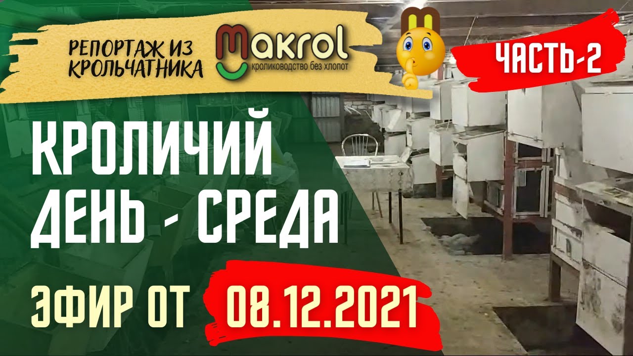 ?Кролиководство в прямом эфире Макляк Макрол.mp4