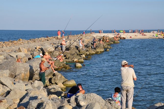 Ловля Тарани в Ейском Лимане! Отличный клев.mp4