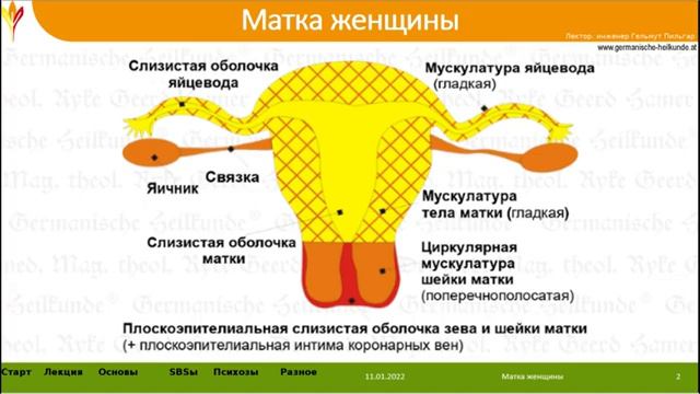 Обучающее видео - Матка женщины - Трейлер.mp4