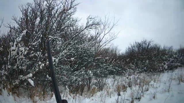 ОХОТА НА ФАЗАНА ПО СНЕГУ.mp4