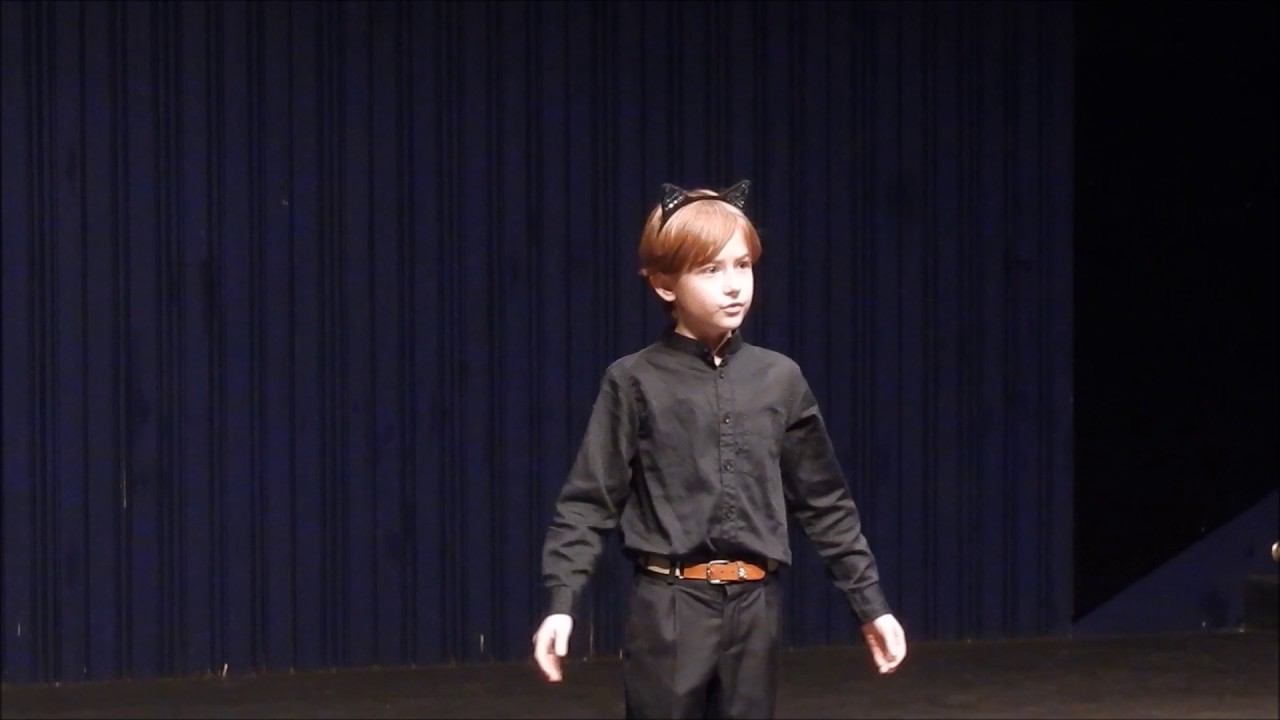 Миша Васильев "С точки зрения кошки" Арт-Караван 2017