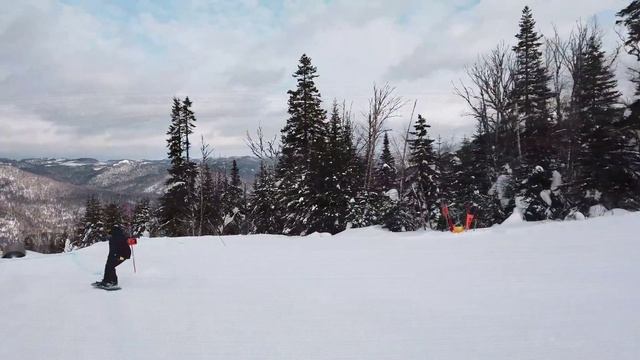Зимушка--красавица и лыжи.