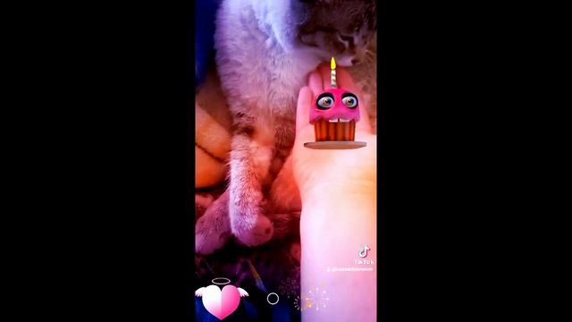 Новый проект2.mp4