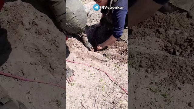 УНИКАЛЬНЫЕ КАДРЫ!!! Разминирование адской закладки ВСУ бойцами ⭕️тважных!