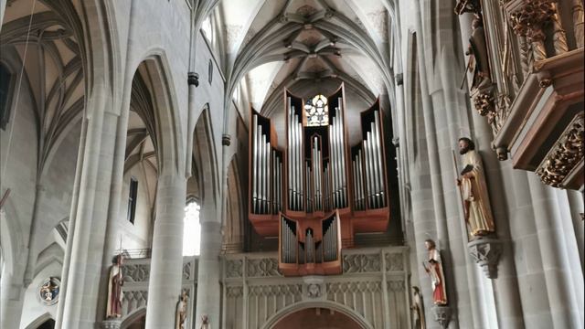 Дитрих Букстехуде (1637-1707) Toccata d-Moll BuxWV 155