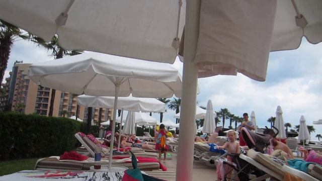 Воробьи обедают в Болгарии.