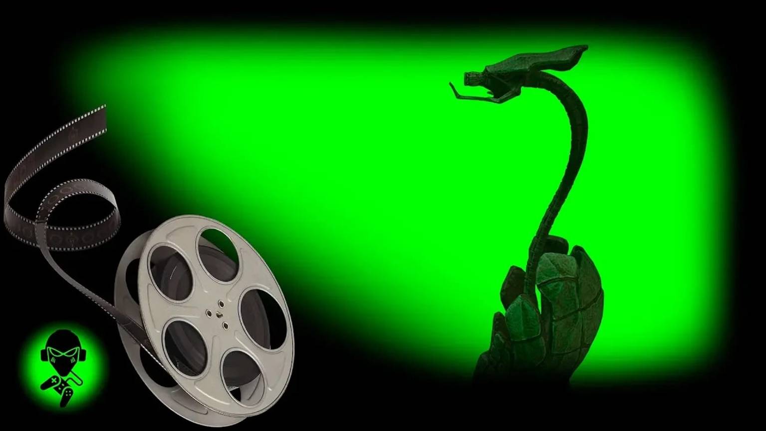 Green Screen - Растение Змея (Snake Plant)