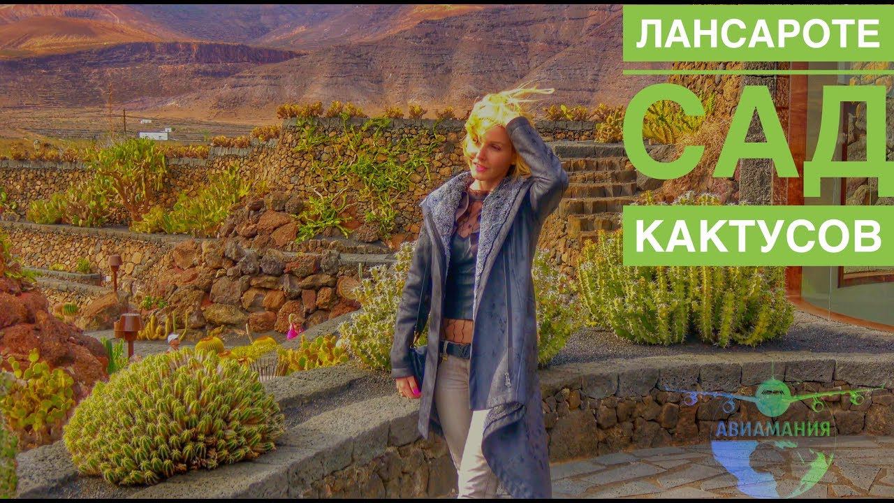 Сад кактусов Лансароте Канарские острова #Авиамания (Jardín de Cactus Lanzarote  Las Islas Canarias)