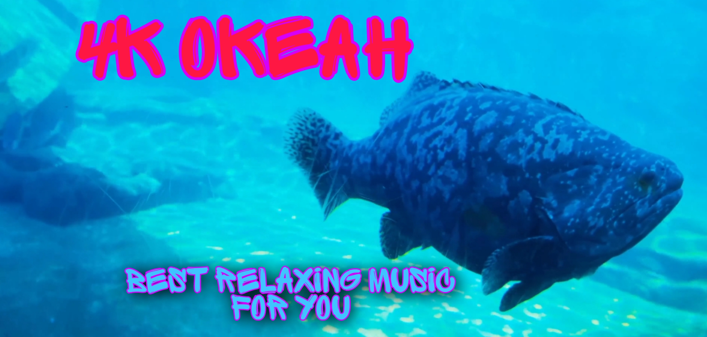 4K Удивительный Подводный Мир #океан #музыка #релакс #рыбы #аквариум #4к.mkv