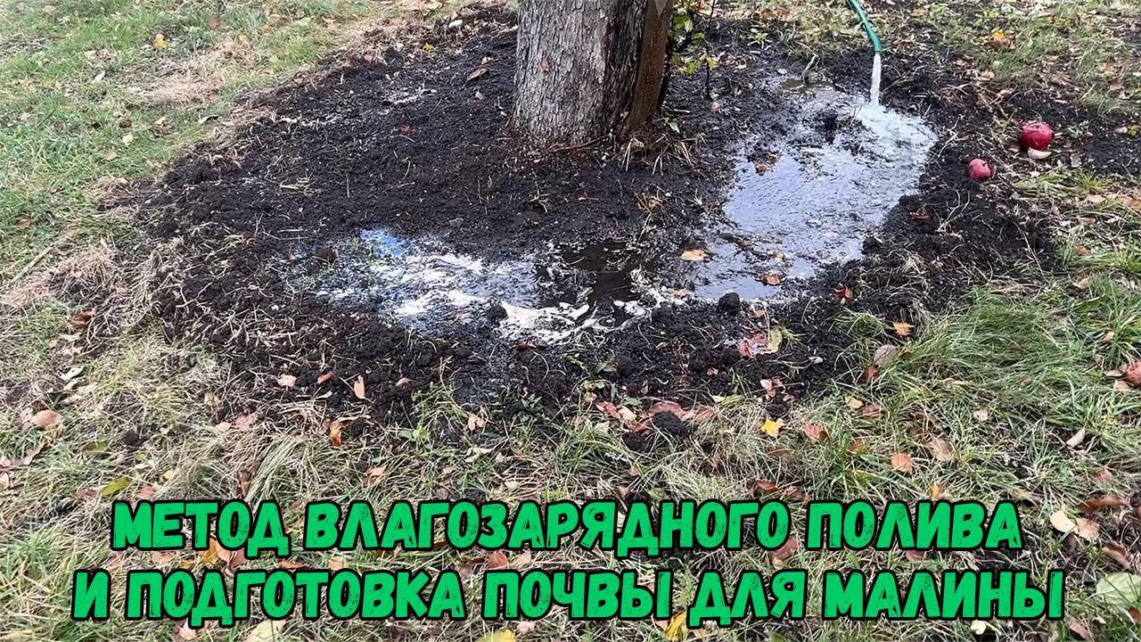 Метод влагозарядного полива