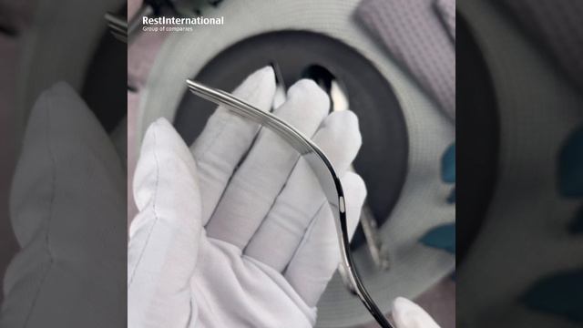 Snake P.L. Proff Cuisine #1 | Портфолио коллекции