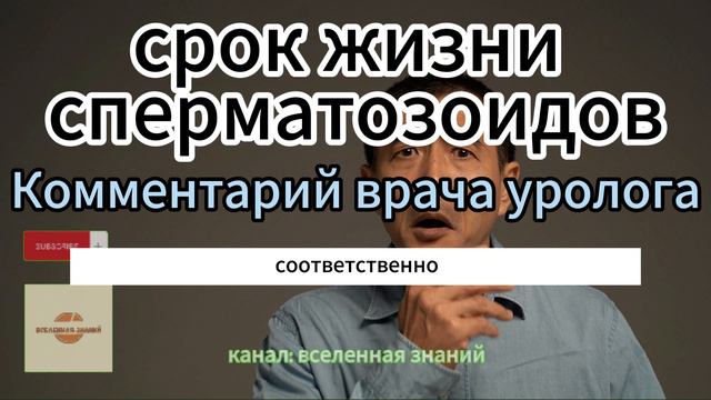 Срок жизни сперматозоидов. Комментарий врача уролога.