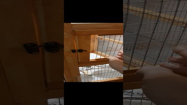 Клетка для попугаев. Боковые дверцы клетки.