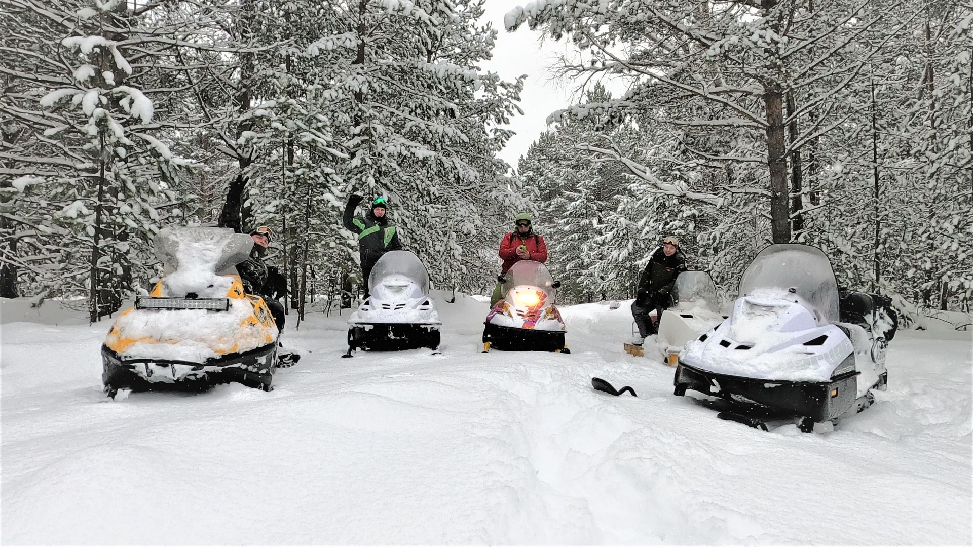 Очередной выезд в лес на снегоходах! Отзывы владельцев отечественных снегоходов Тайга,  Буран, Стелс