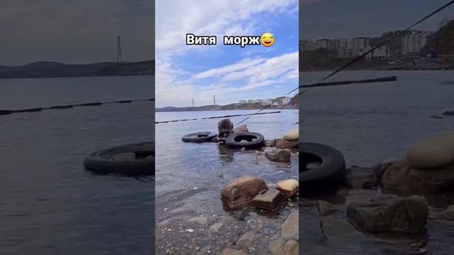 енот Витя открыл купальный сезон #shorts